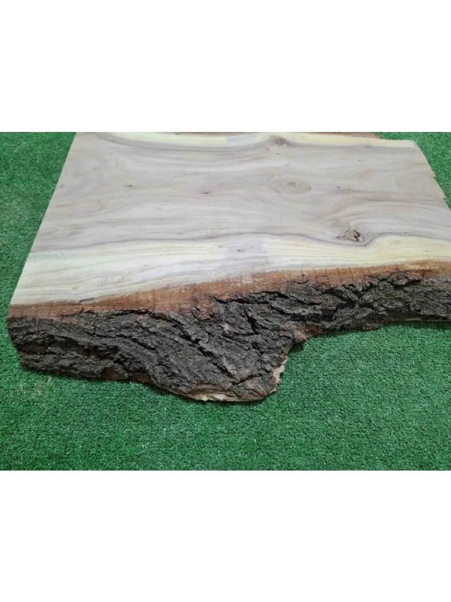 Слэб массив Горный карагач (530 - 440 - 53мм)