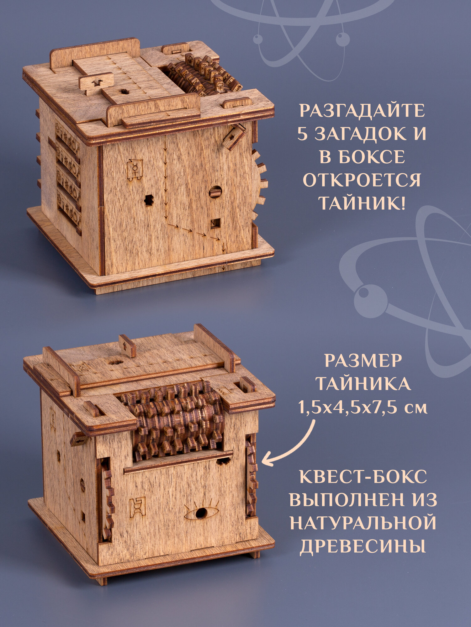 Квест-шкатулка Кот Шредингера — фото 1