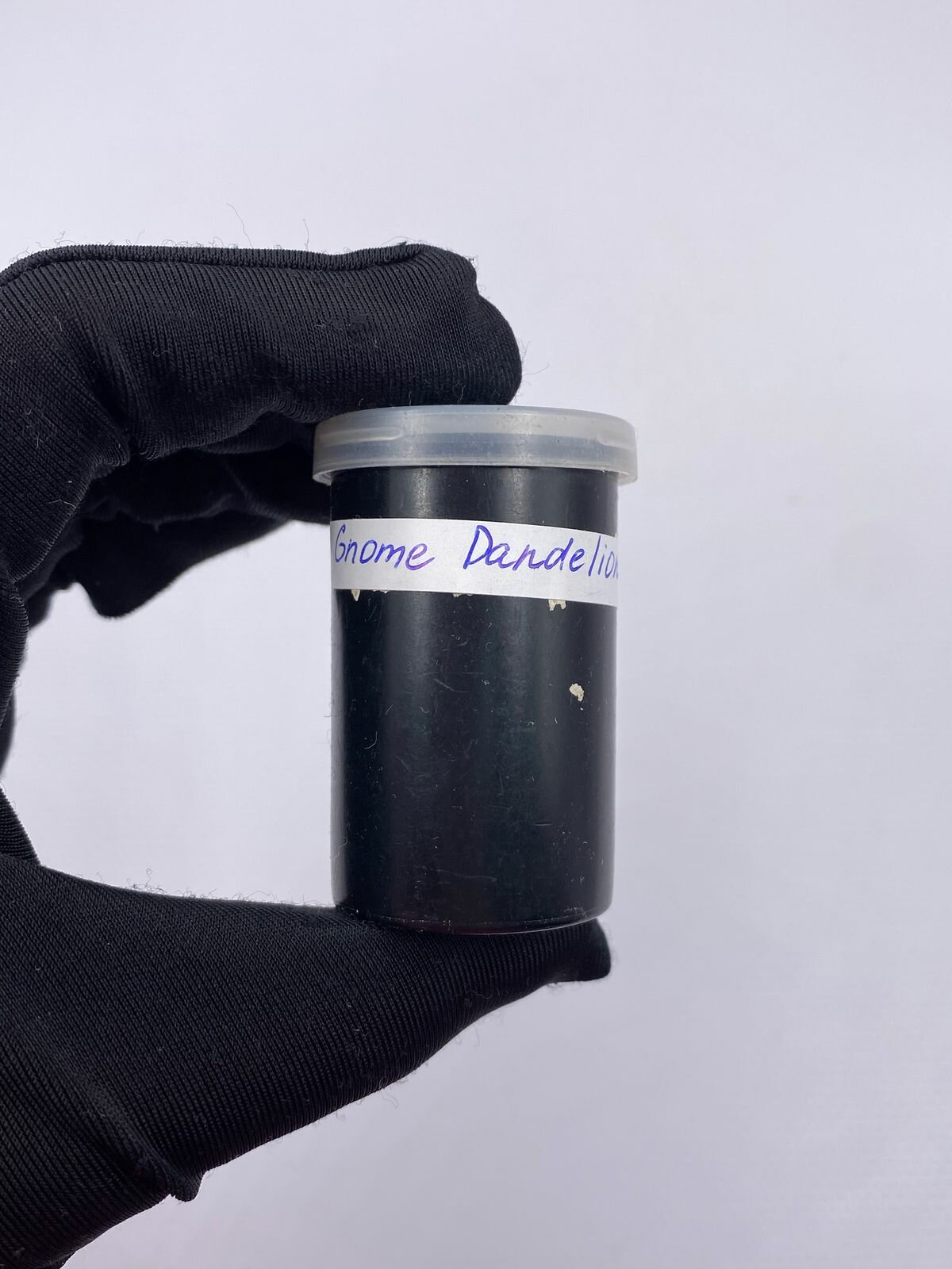 Диафильм для детей "Gnome Dandelion" СССР