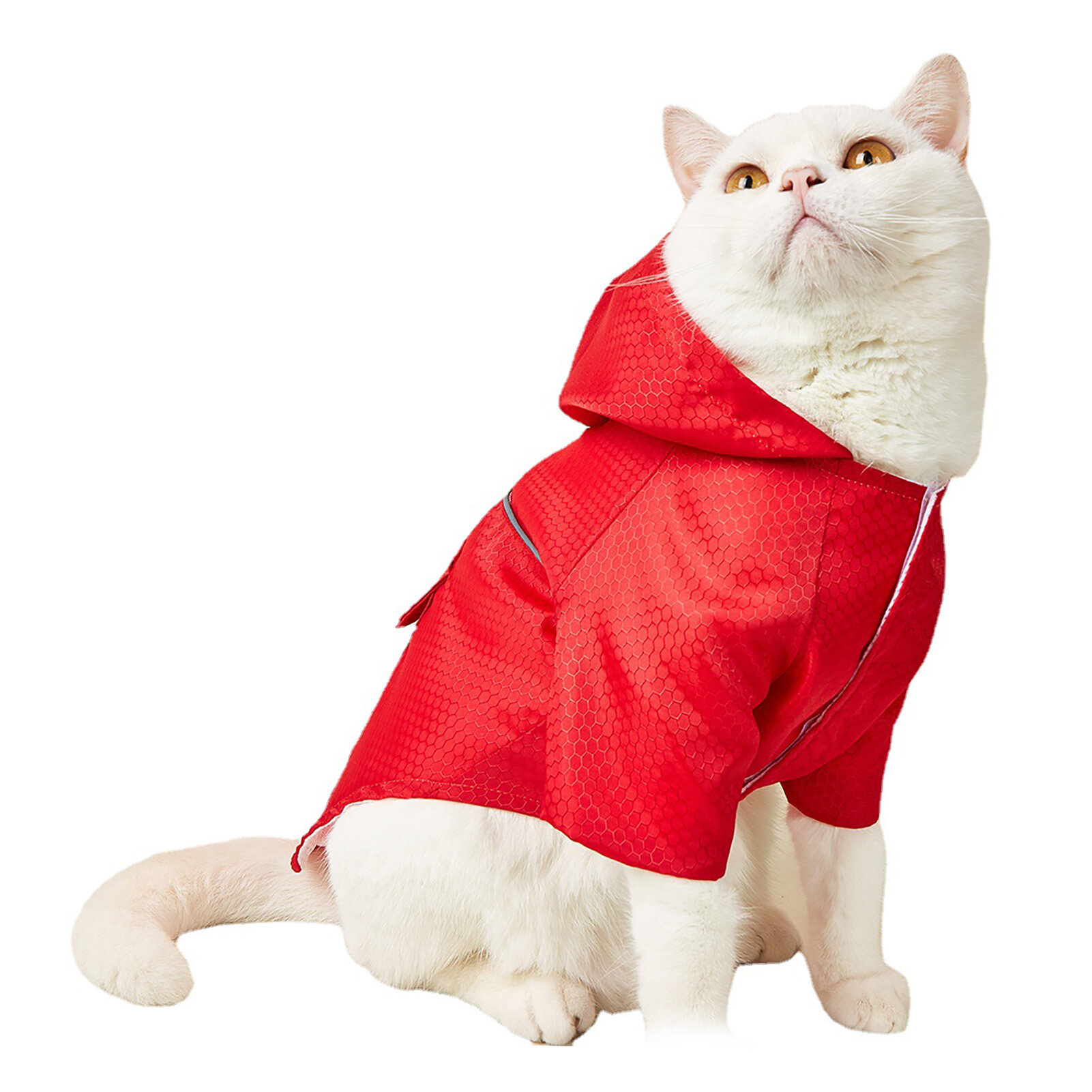 Дождевик для домашних животных с капюшоном, светоотражающей полосой и отверстием для поводка, водонепроницаемая куртка-дождевик для щенков, маленьких собак и кошек, красный, размер M.