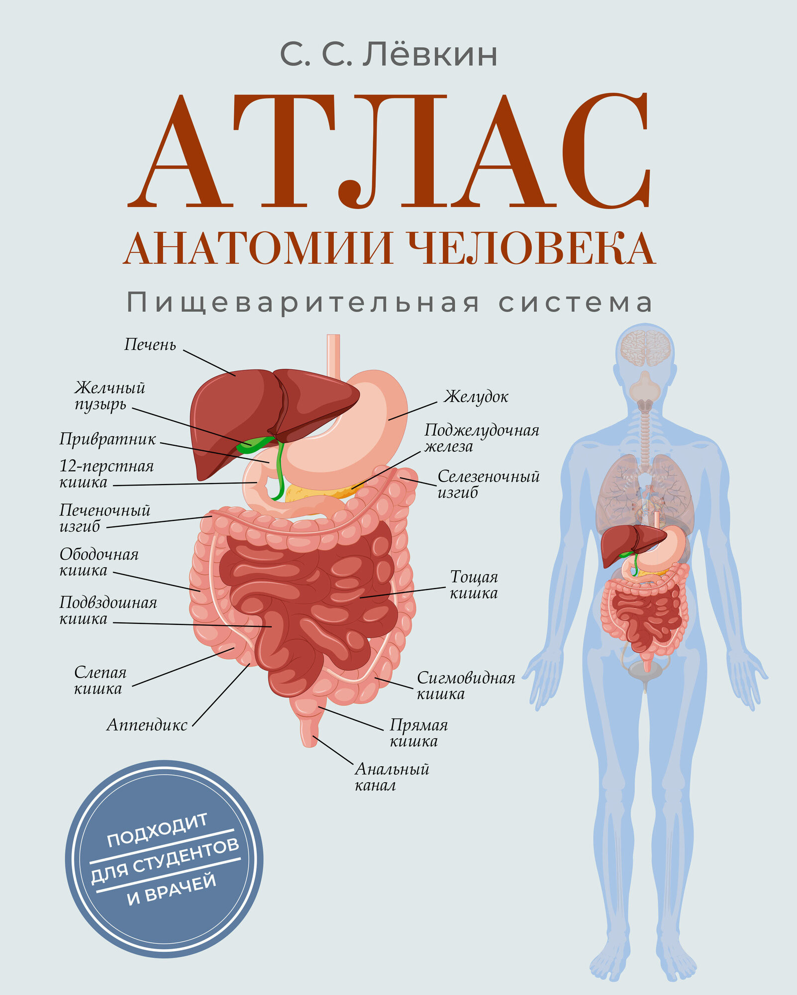 Атлас анатомии человека Пищеварительная система