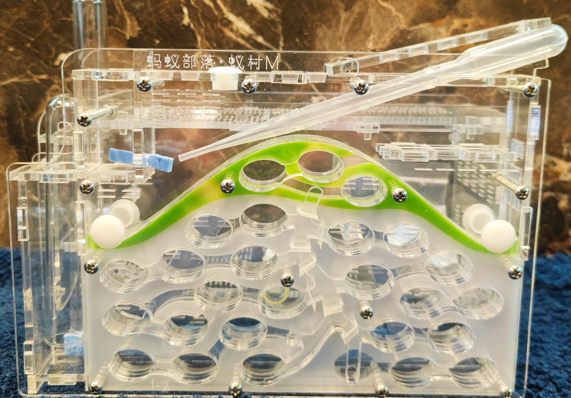 Муравьиная ферма Ant Tribes Village M Antlife.r - в собранном виде! Aнтипобег + Подарок!