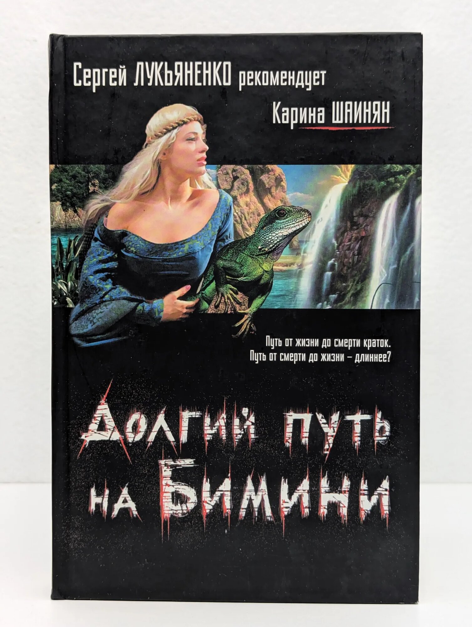 Долгий путь на Бимини Шаинян Карина Сергеевна 2010