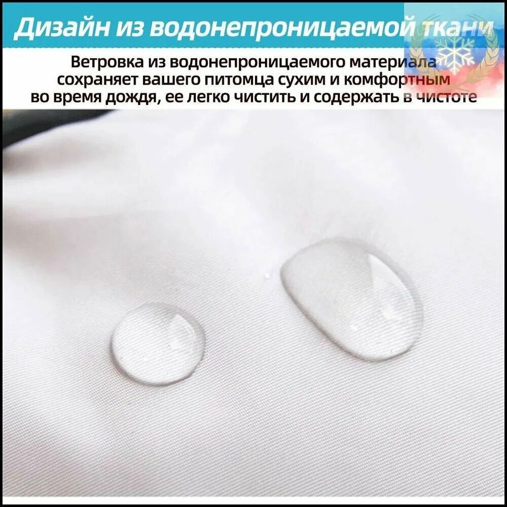 Одежда для животных — фото 1