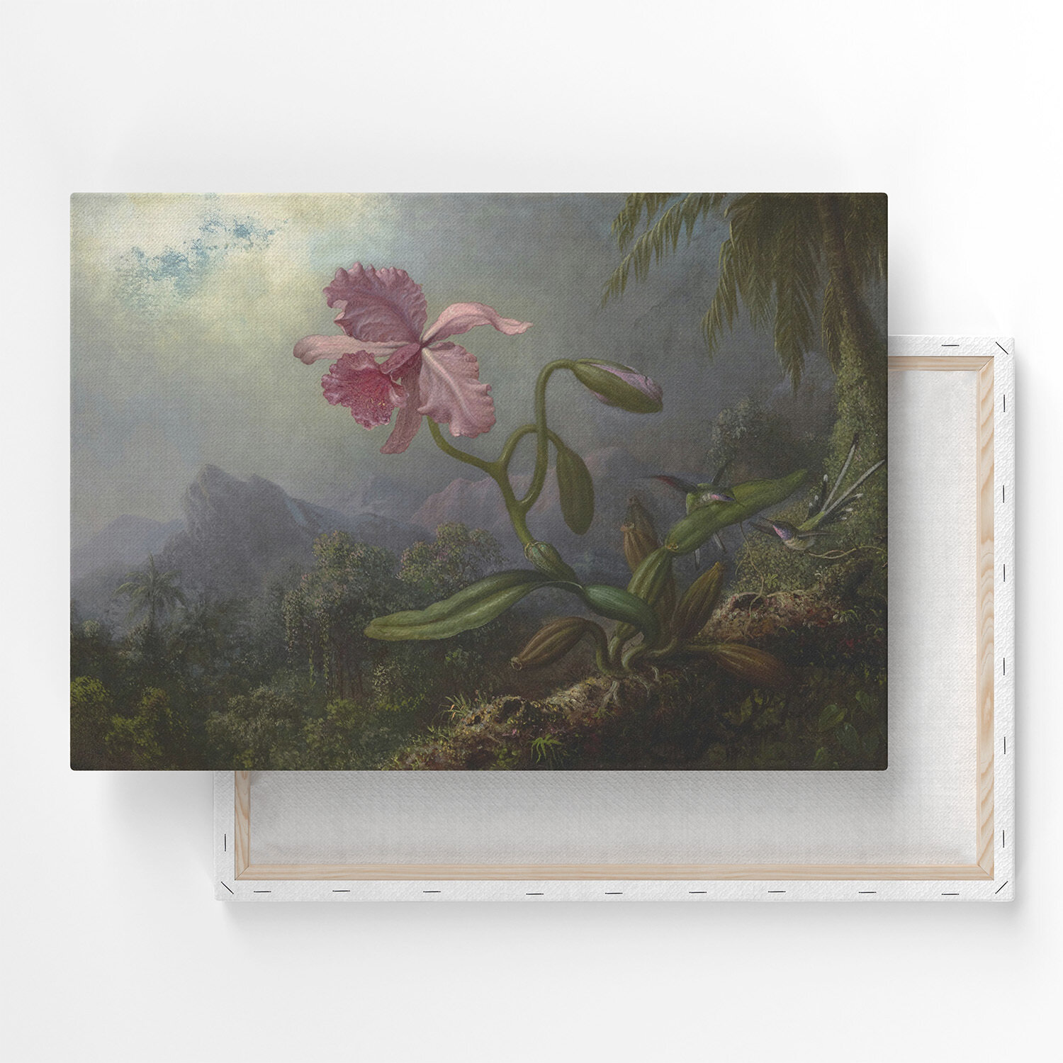 Картина на холсте, репродукция / Мартин Джонсон Хед - Two Hummingbirds / Размер 60 x 80 см