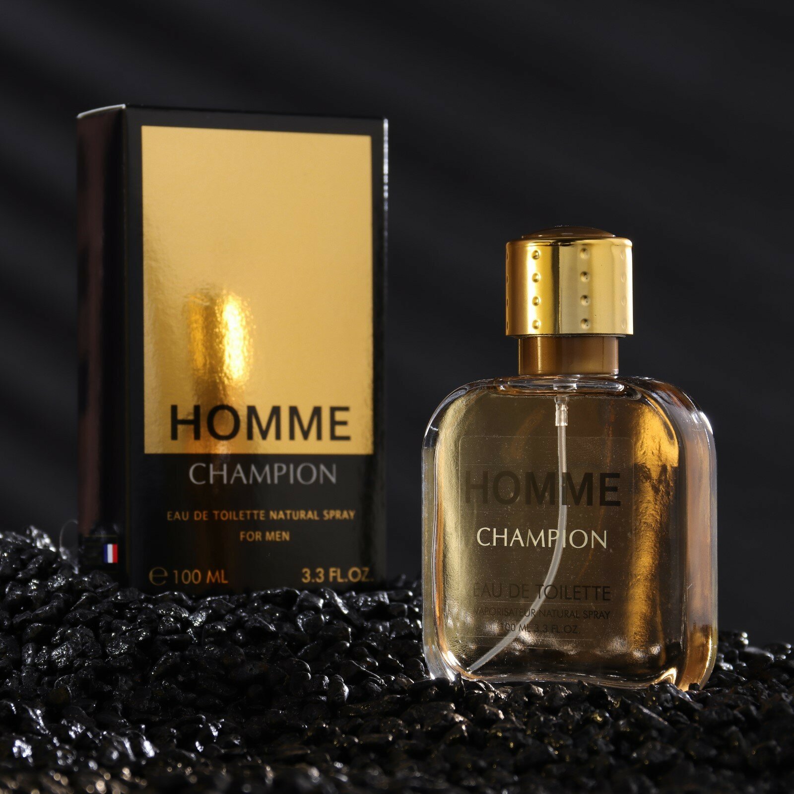 Туалетная вода мужская Homme Champion, по мотивам известных ароматов, 100 мл