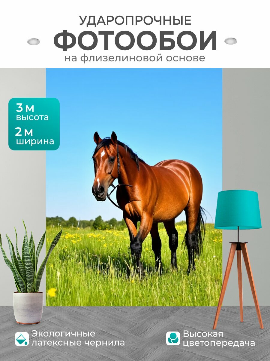 Фотообои моющиеся ударопрочные "Коричневая лошадь, пасущаяся на лугу, ясное голубое небо" 200x300 см. флизелиновые на стену