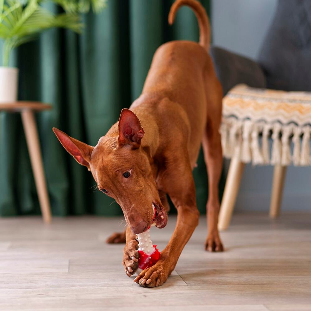 Игрушка для собак Косточка, 16 см