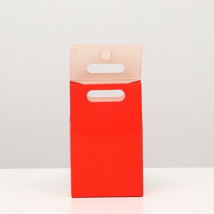 !09 Коробка-пакет с ручкой (набор 8 штук) цвет красный 15 х 10 х 6 см.