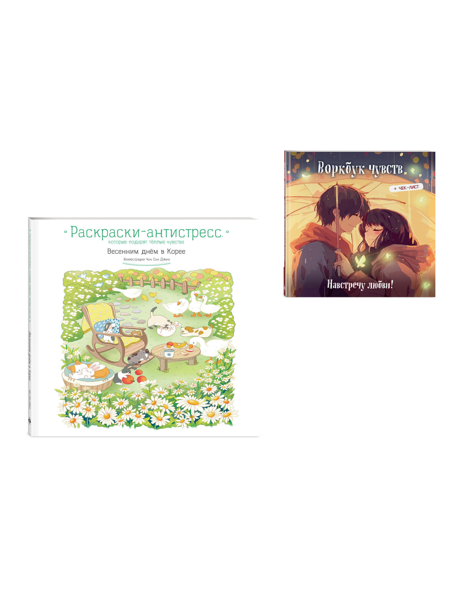 Комплект из 2 книг. Раскраска антистресс Весенним днем в Корее + Ворбук чувств (ИК)