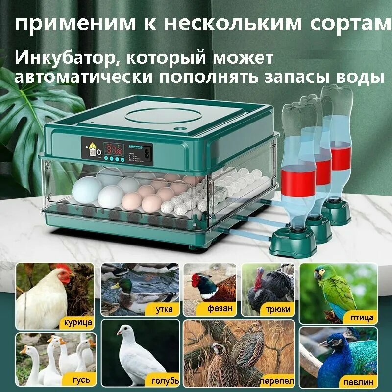 Инкубатор для яиц — фото 1