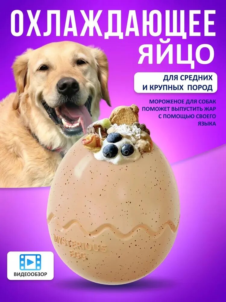 Игрушка для Крупных пород собак Kong