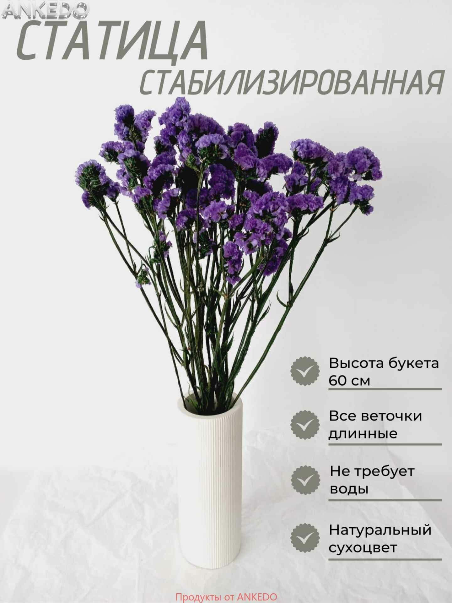 Статица стабилизированная для декора, сухоцвет