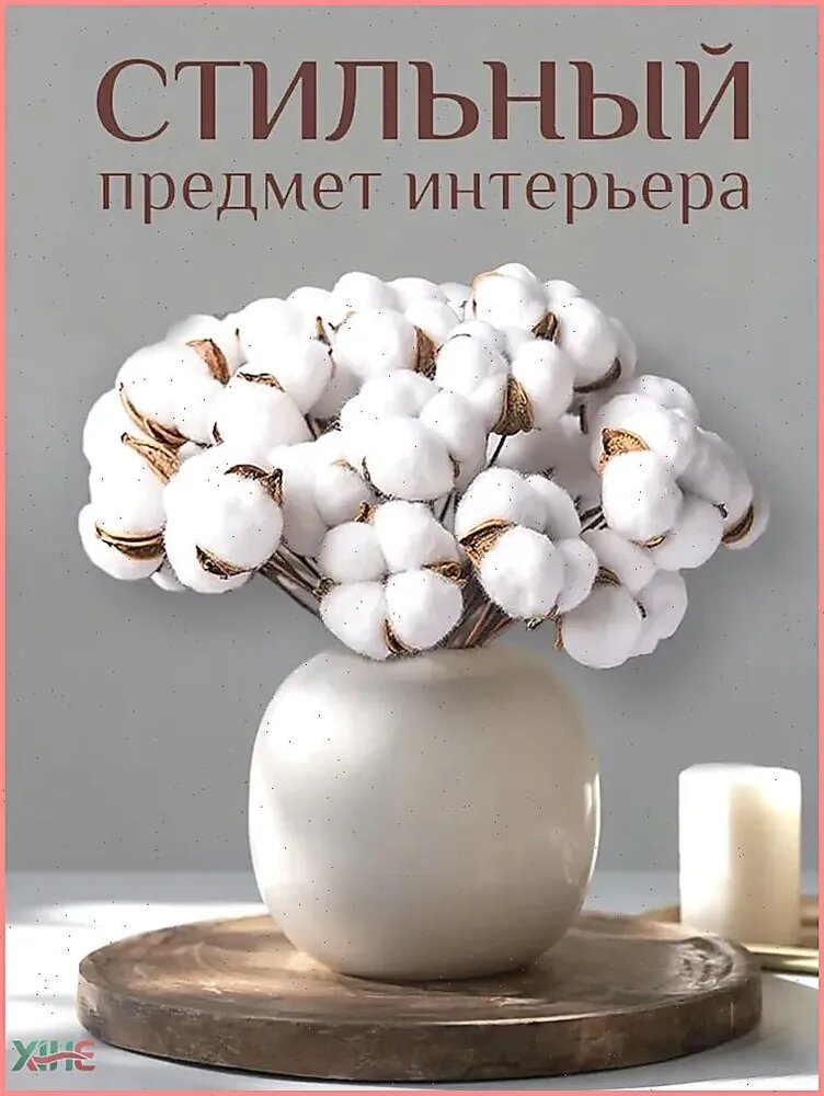 Сухоцветы Хлопок, 35 см, 20 шт
