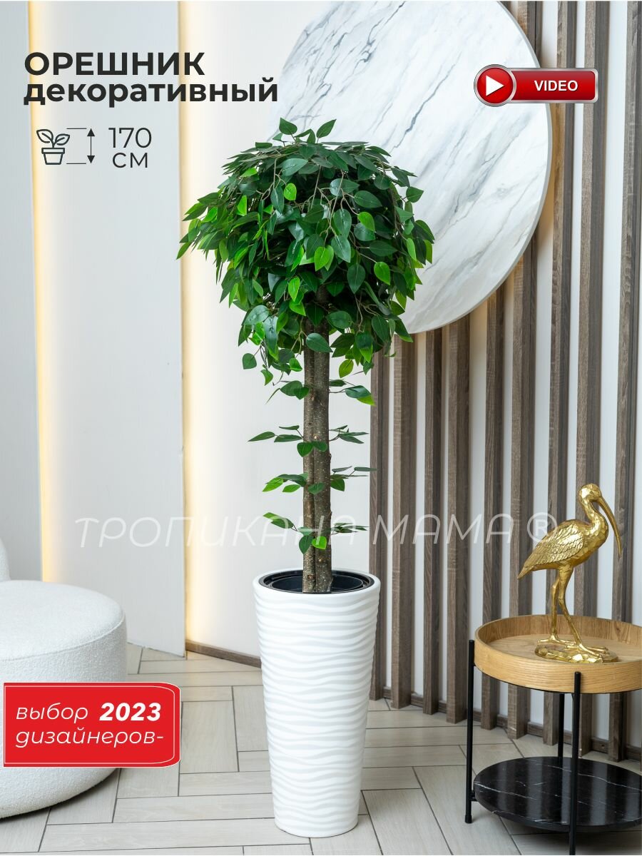 Дерево искусственное орешник