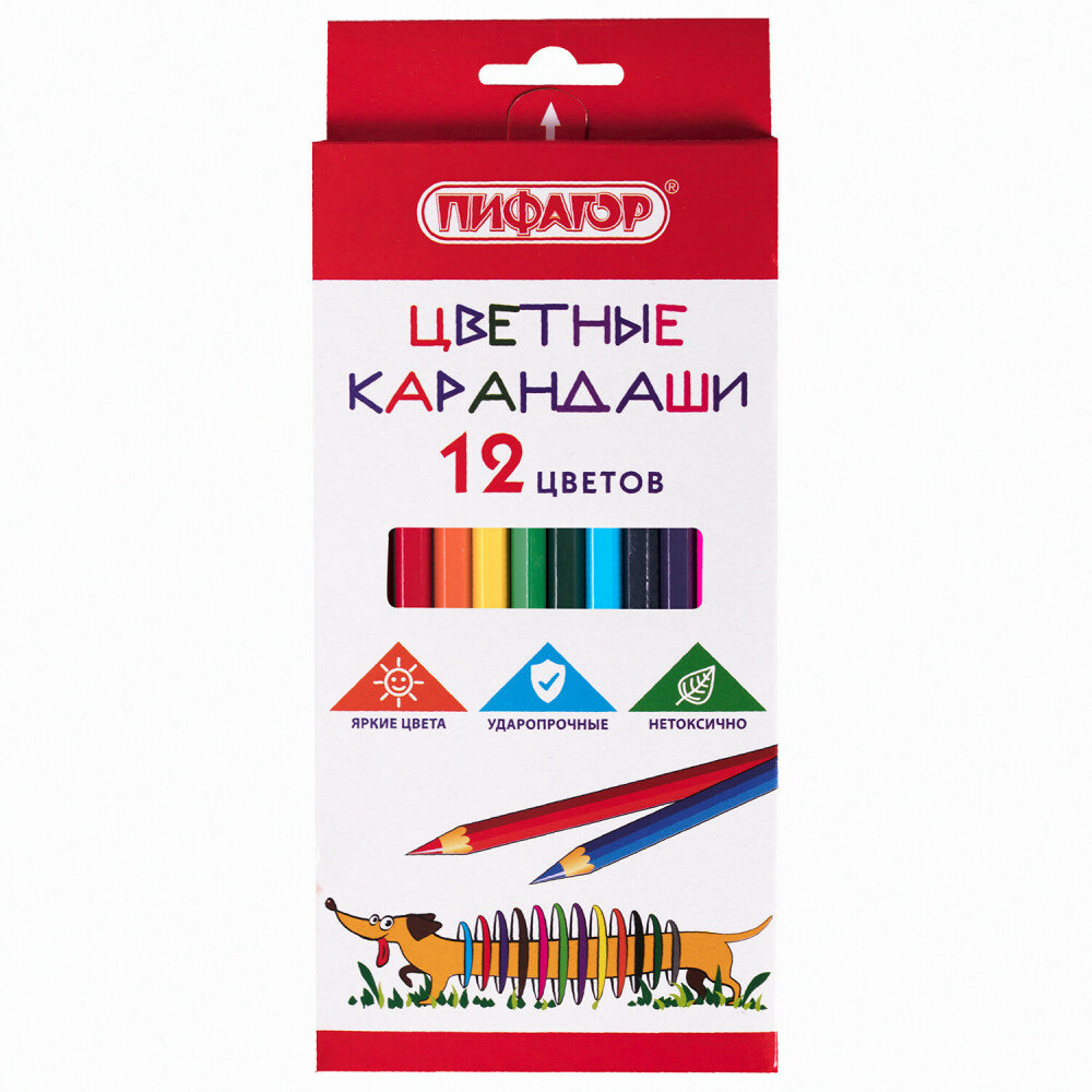 Карандаши цветные пифагор "Веселая такса", 12 цветов, классические, заточенные, 181806, 1 шт