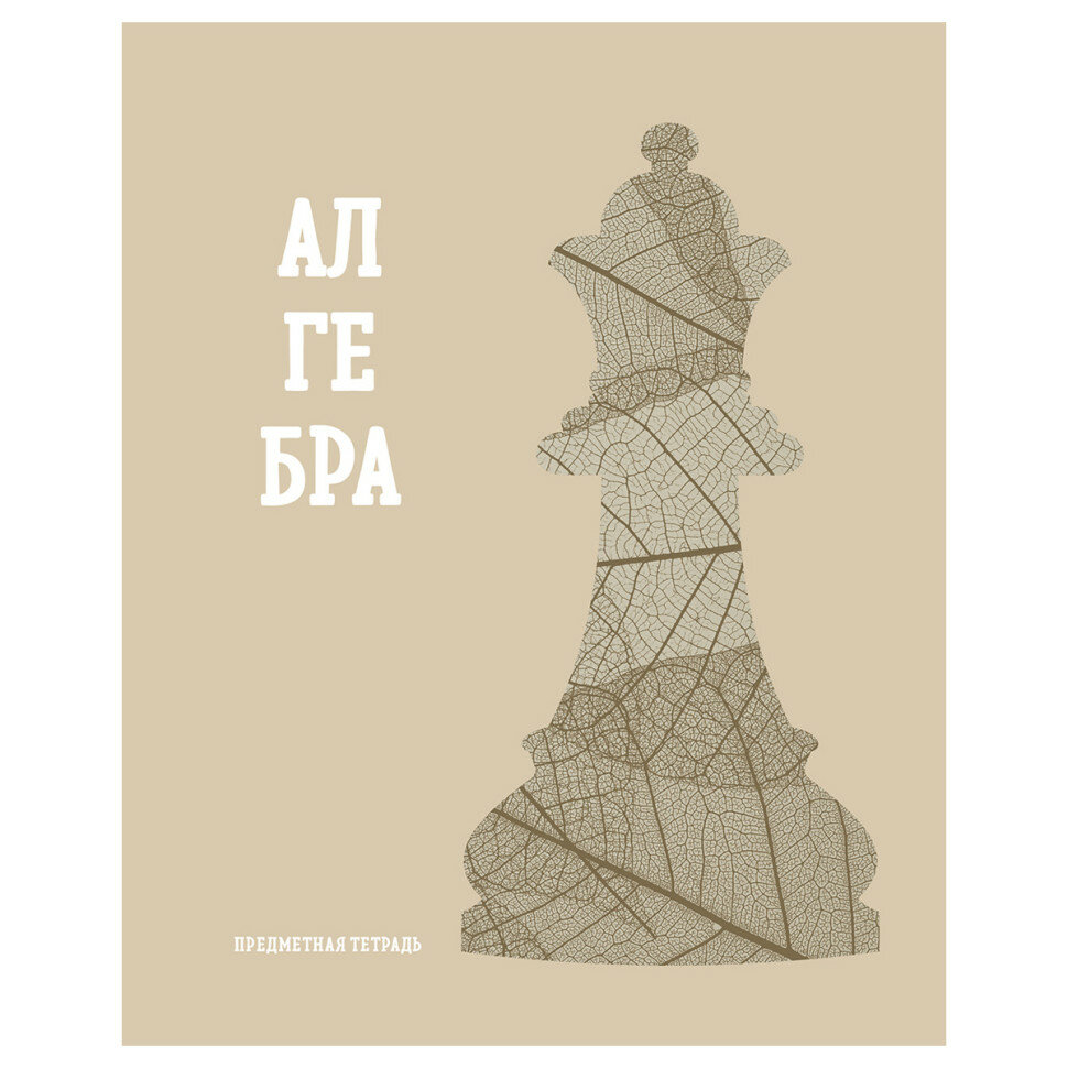 Тетрадь предметная 48л. BG "Подсказки" - Алгебра, матовая ламинация, микро sandy-touch лак, 10 штук, 363352