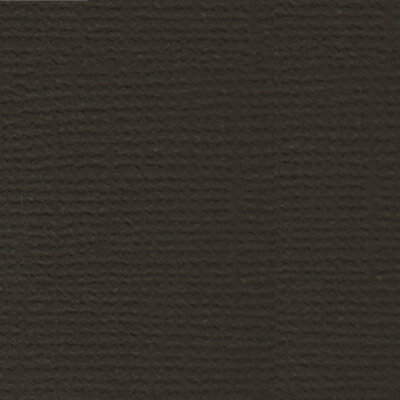 Бумага для скрапбукинга "Mr.Painter" PST 216 г/кв. м 30.5 x 30.5 см 24 Горький шоколад (т. коричневый)