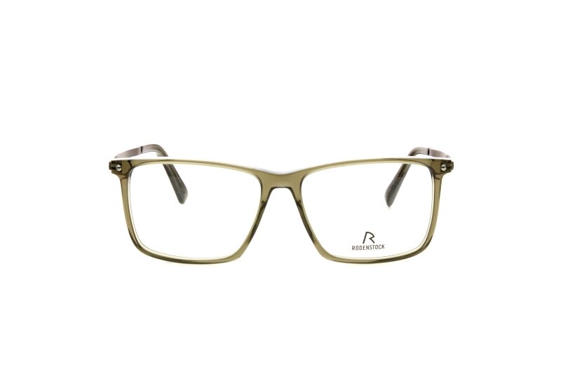 Очки для зрения RODENSTOCK 5348 D (54)