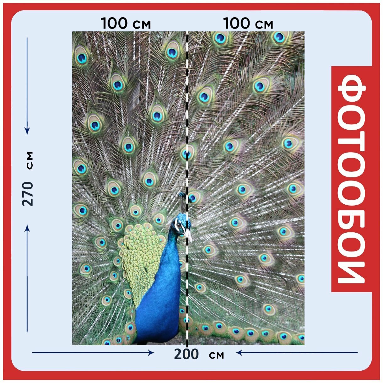 Фотообои "Павлин, птица, перья" 200x270 см. флизелиновыена стену