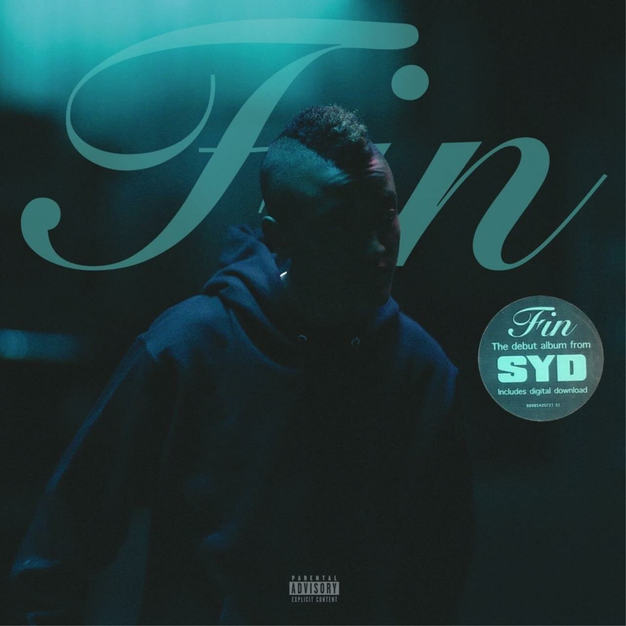 Виниловая пластинка Syd - Fin