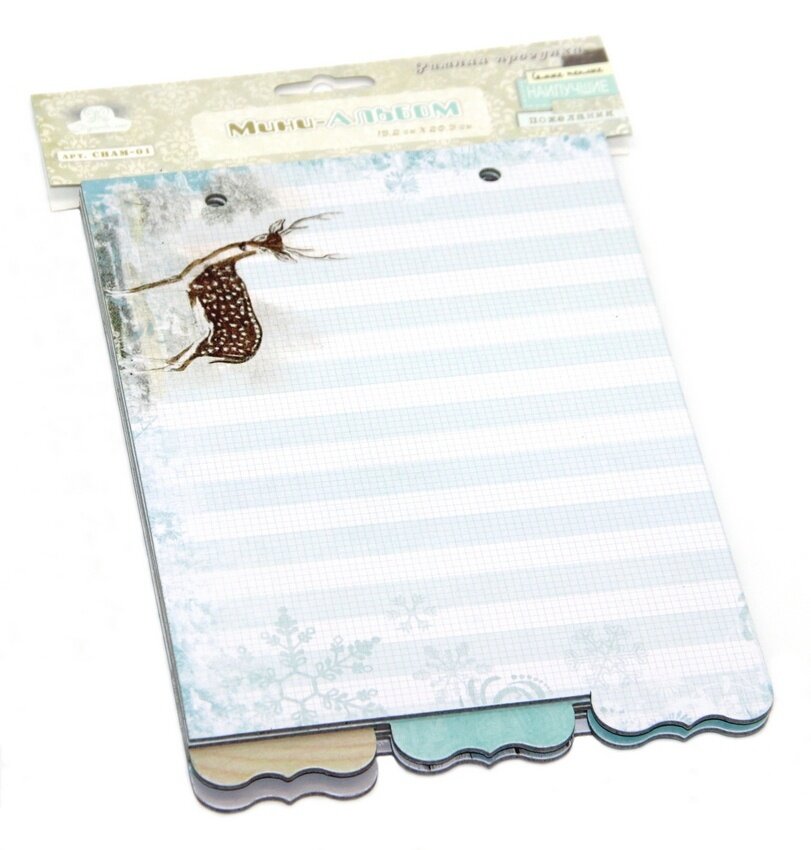 Мини-альбом для скрапбукинга Рукоделие "Зимняя прогулка", 6 двусторонних листов, 2 кольца