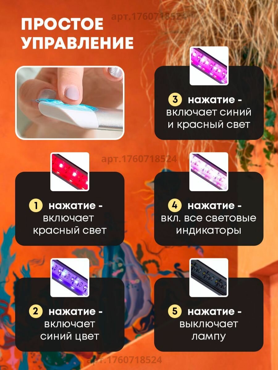 Мини-тепличка — фото 1