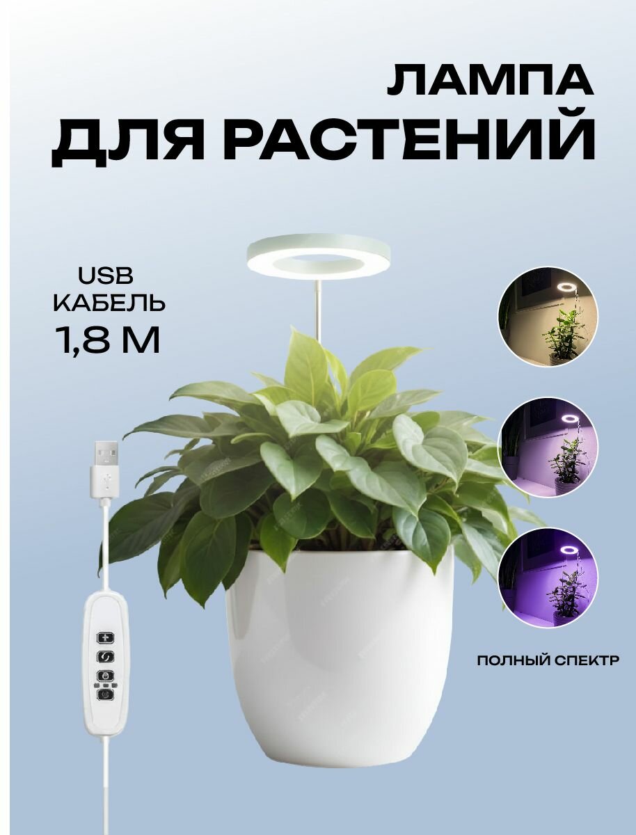 Лампа досвета для комнатных растений (красный синий)