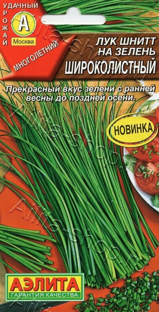 Цена за 10 пачек! Семена Лук шнитт на зелень Широколистный 0,5г (Аэлита)