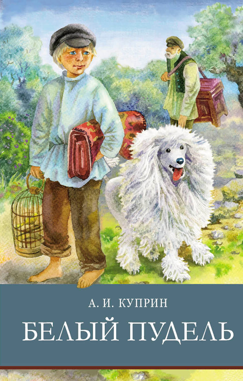 Белый пудель