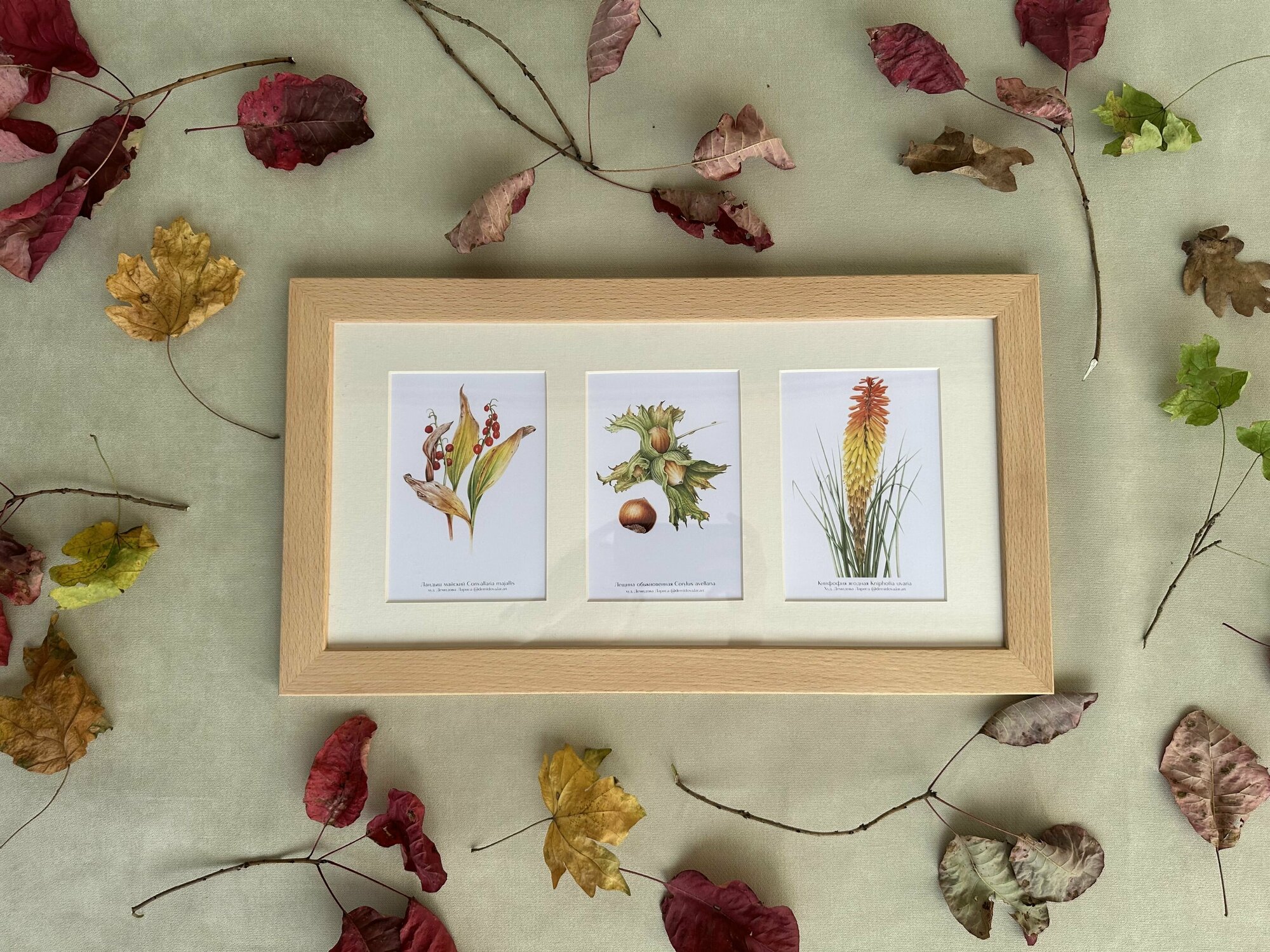Картина с авторскими открытками ботанического художника в рамке Ландыш Лещина Книфофия, 47*26 см