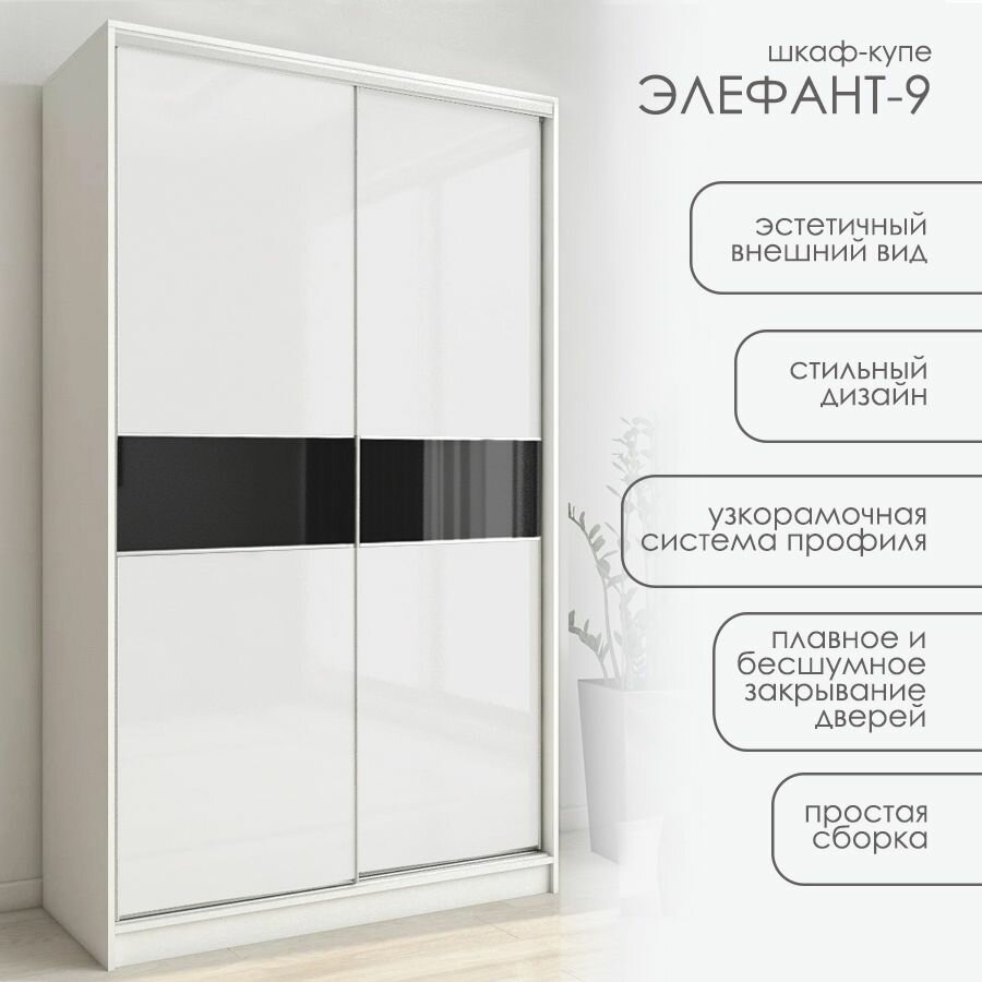 Шкаф-купе Элефант-9