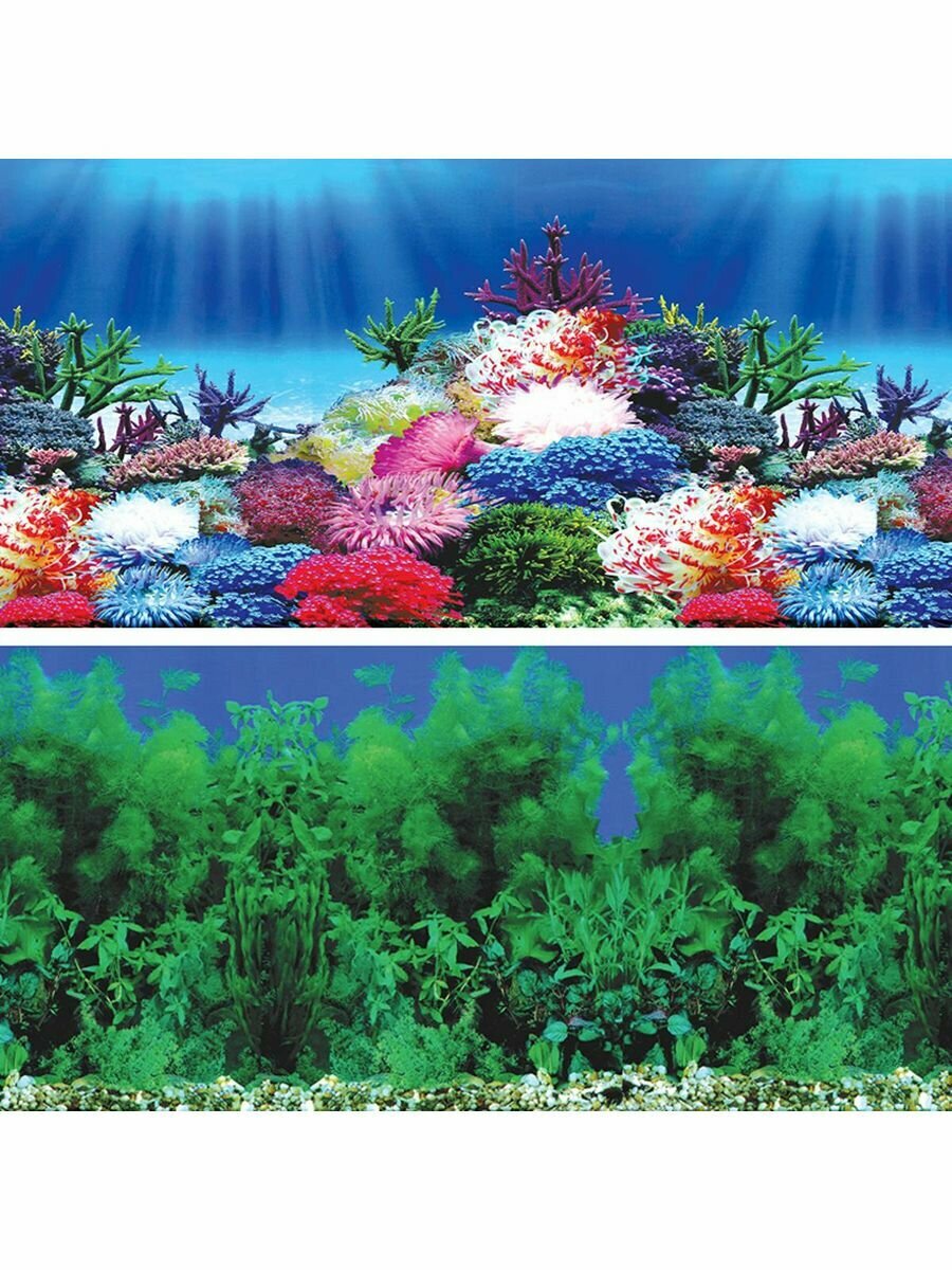 Фон Laguna 60*150см "Водное шоу/Карнавал"