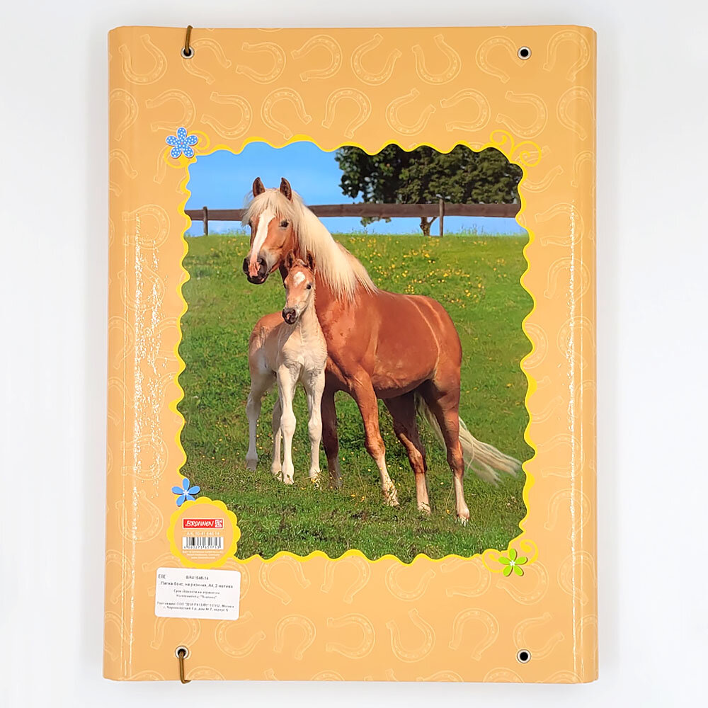 Папка-бокс на резинке Brunnen (Германия), A4, Лошади