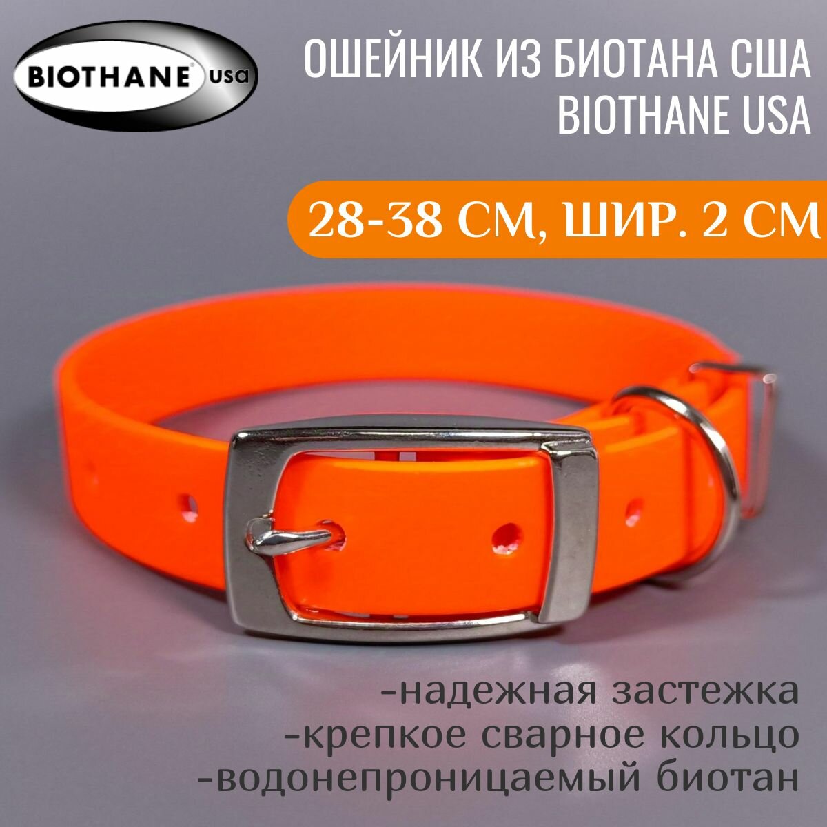 R-Dog Ошейник из биотана (Biothane USA), металлическая пряжка, цвет оранжевый, длина 28-38 см, ширина 2 см