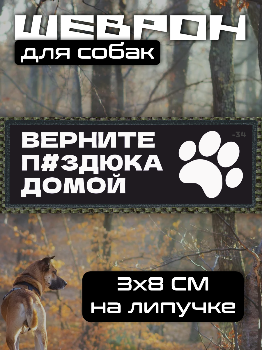 Шеврон на липучке для собак Верните п#здюка домой