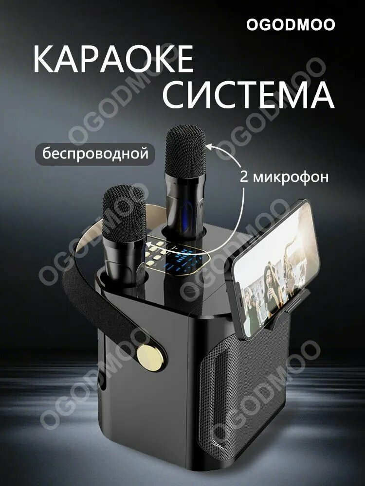 Караоке система, Колонка с микрофонами, Караоке система с двумя микрофонами