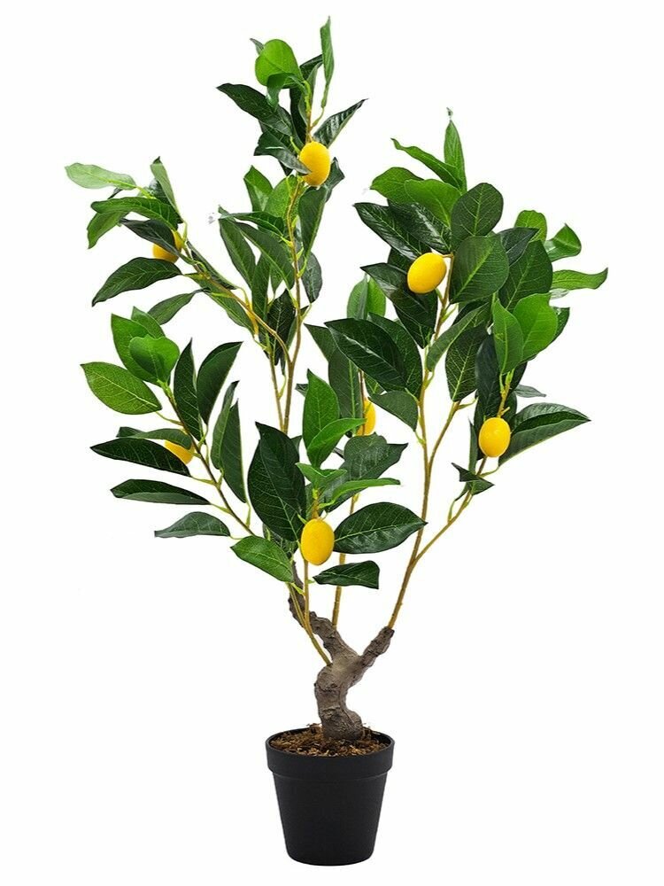 Растение декоративное Лимонное дерево 30х30х80см