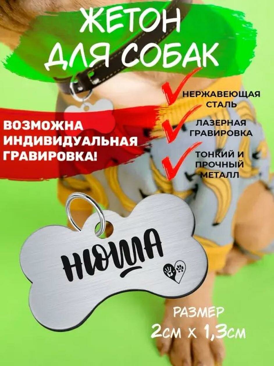 Адресник для собаки с гравировкой, нерж. сталь, серебристый, Нюша