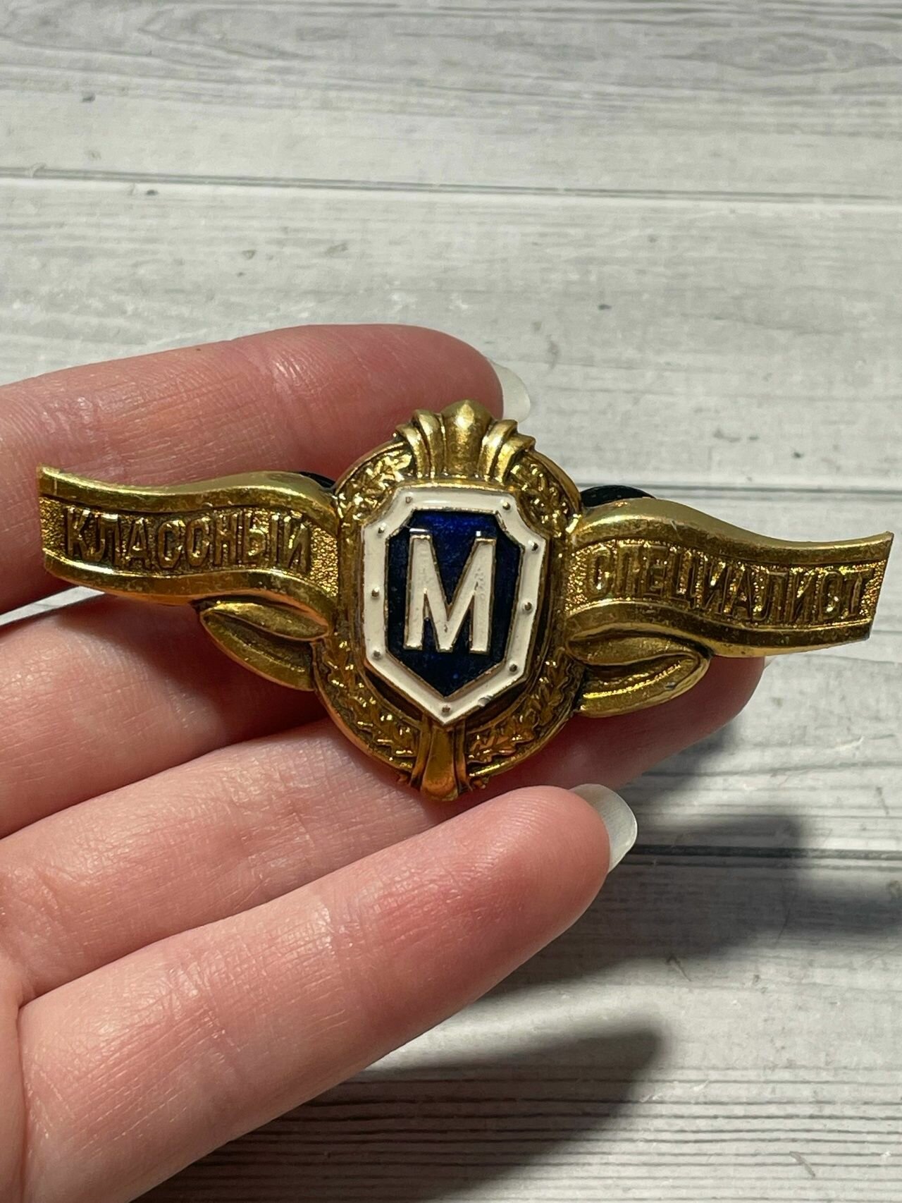 Мастер Классность Министерство Обороны РФ Россия легкий рядовой состав