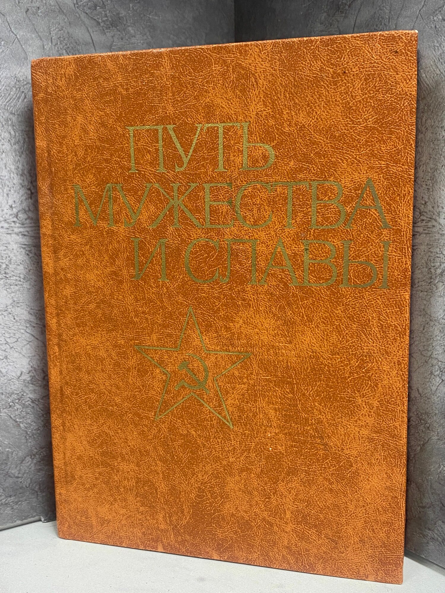 Путь мужества и славы. Очерк о Советских Вооруженных Силах Рябов Василий Сергеевич