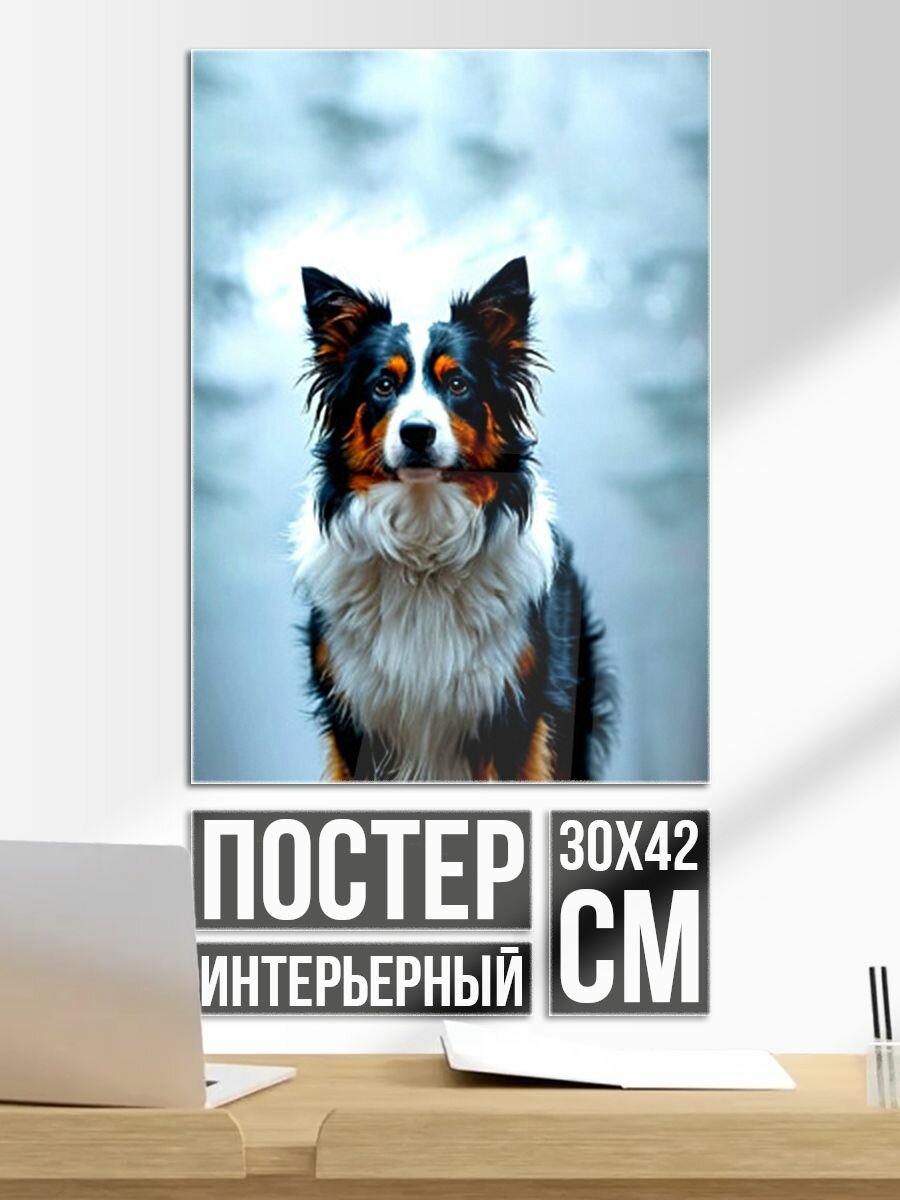 Постер на стену Бордер-колли осенью