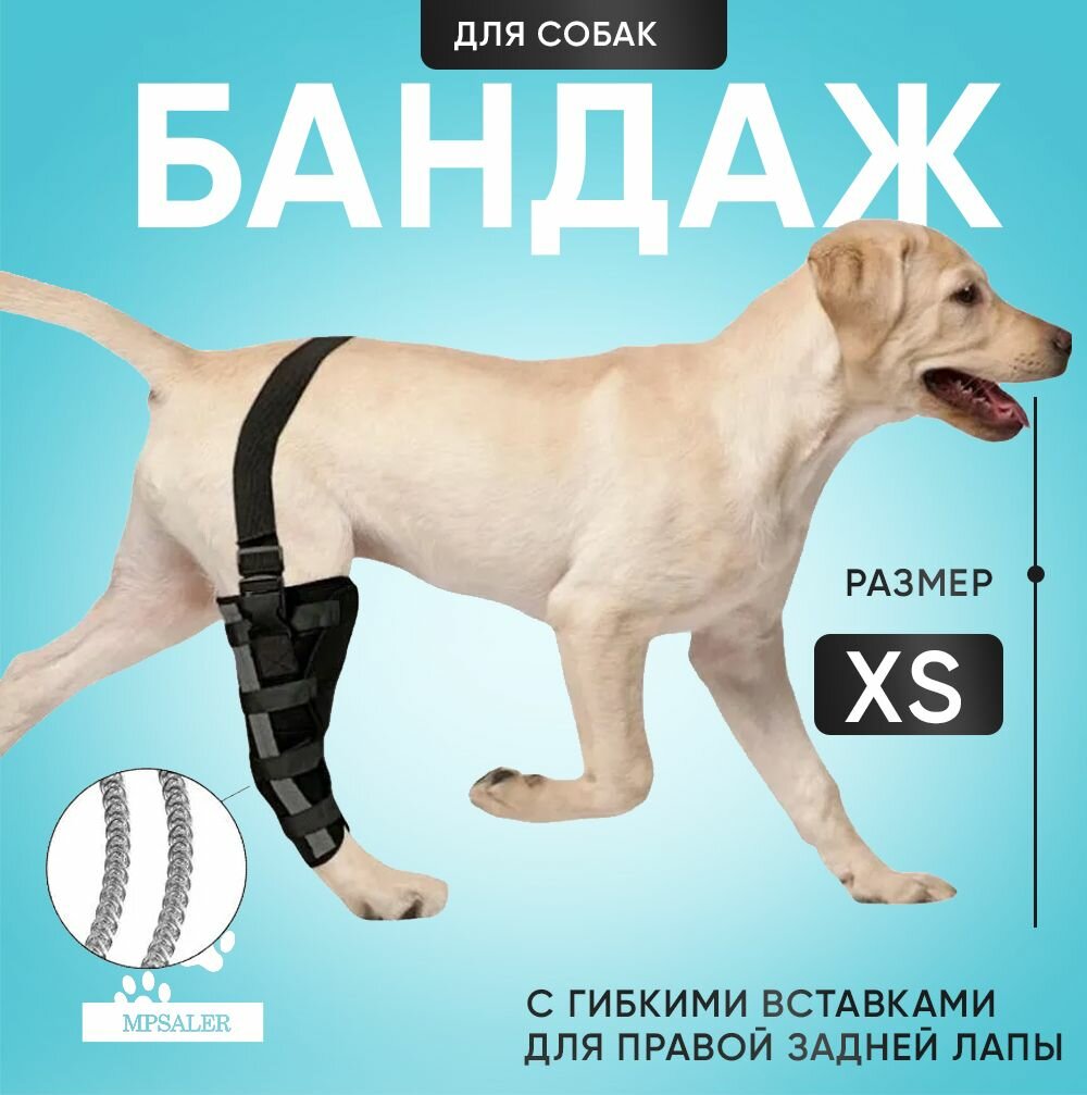 Бандаж для собак на правую заднюю лапу. На коленный сустав, с гибкими вставками, размер XS.