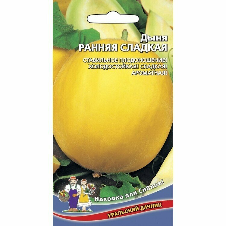 Семена дыни Уральский Дачник "Ранняя сладкая", однолетние, 10 семян