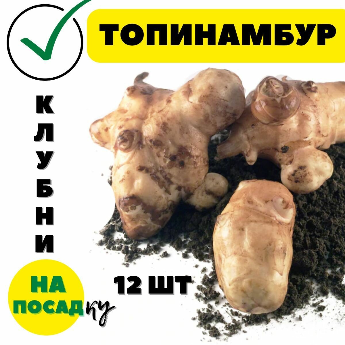 Топинамбур клубни семена для посадки 12 шт