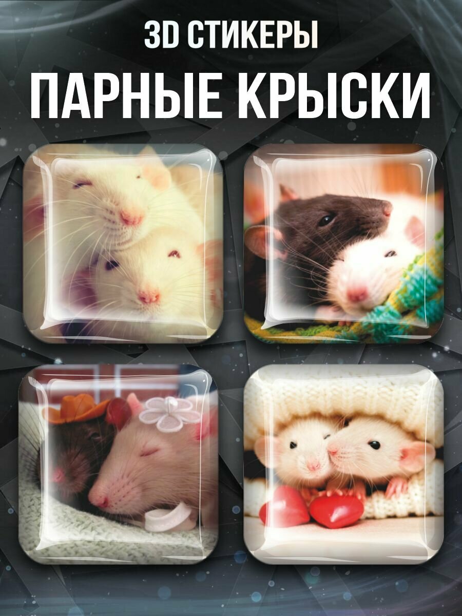 Парные 3D стикеры Крыски