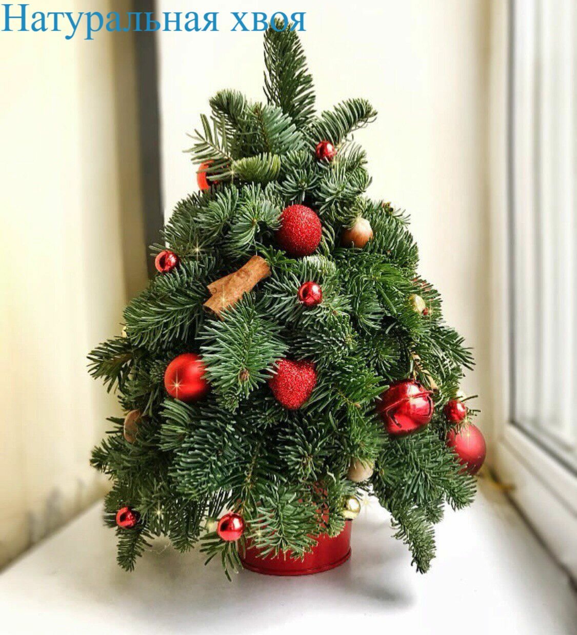 Ёлочка живая настольная 40см ручная работа, нобилис натуральный