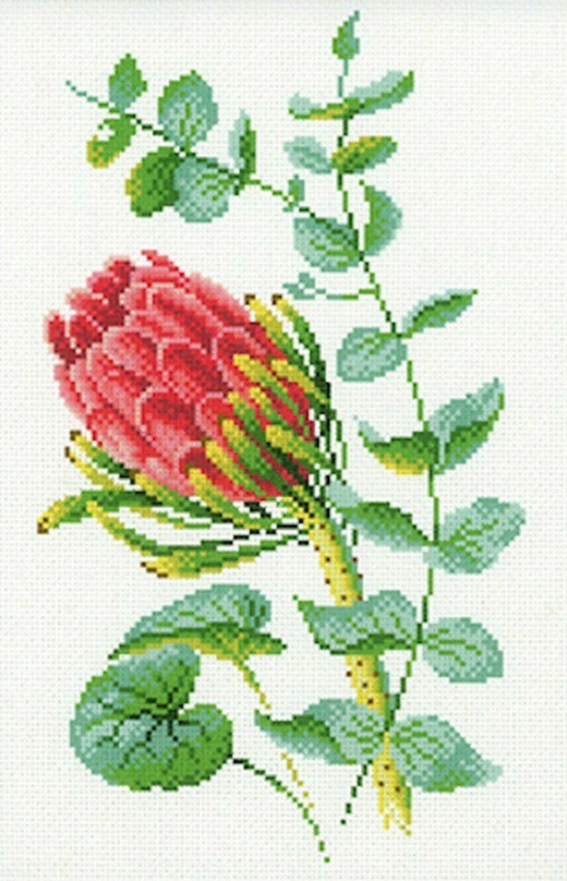 Канва с рисунком для вышивания М. П. Студия СК-089 Протея, 20 x 30 см (Нитки в в комплект не входят.)