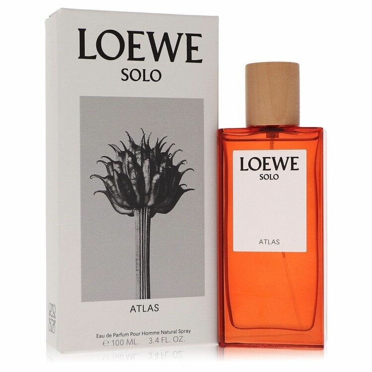 Loewe Solo Atlas, 100мл, Парфюмерная вода