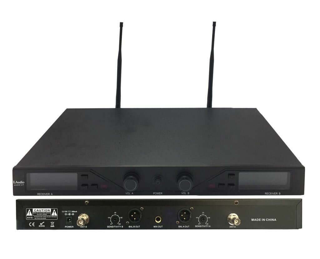 4000-UY Беспроводная микрофонная система, 2 головных микрофона, LAudio